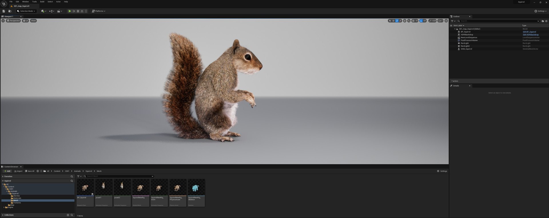 Squirrel Rig UNREAL Project Plus Maya Base Rig 3D Model - TurboSquid 2341952
