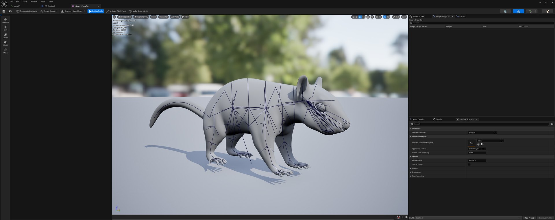Squirrel Rig UNREAL Project Plus Maya Base Rig 3D Model - TurboSquid ...