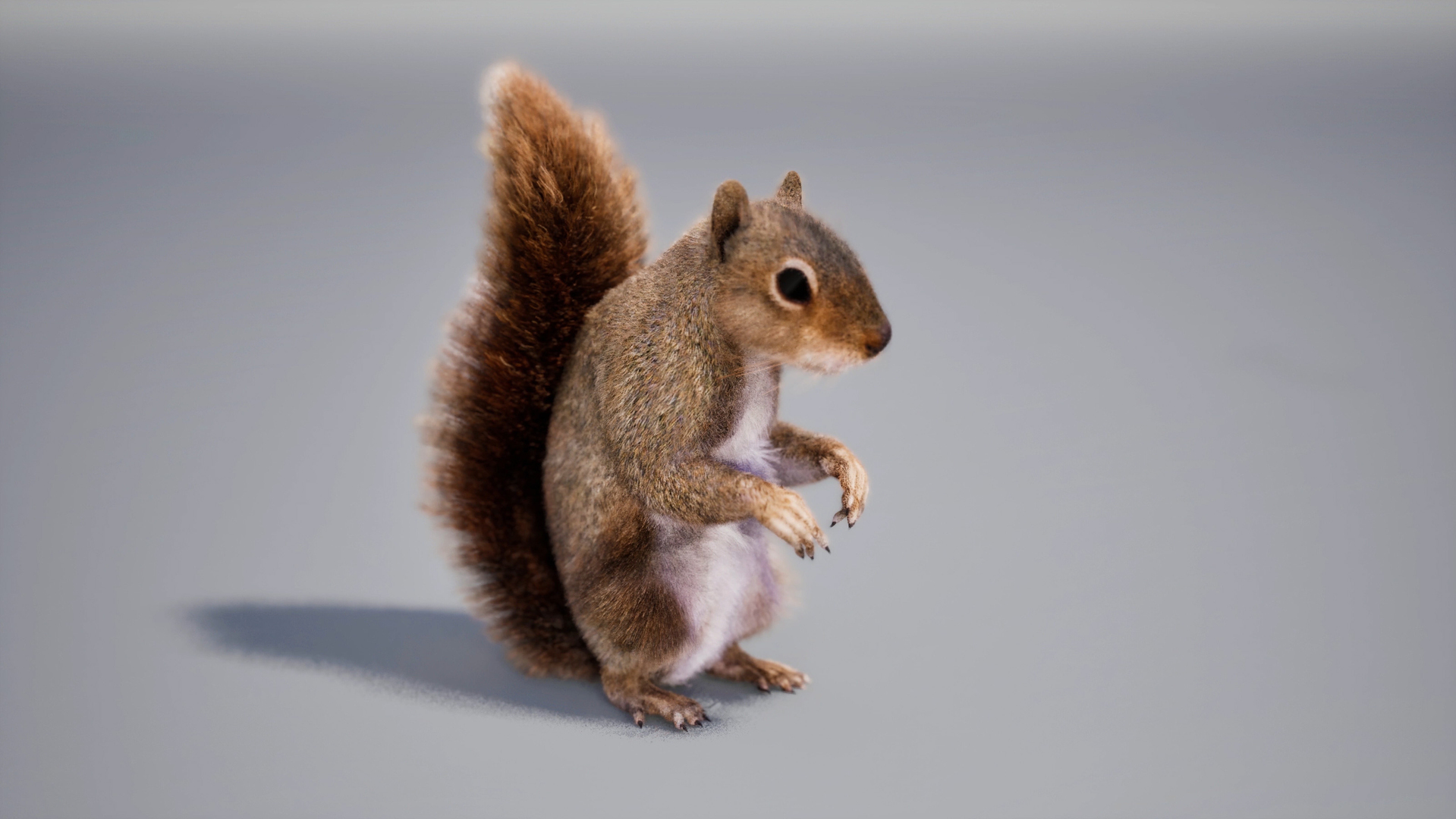 Squirrel Rig UNREAL Project Plus Maya Base Rig 3D Model - TurboSquid ...