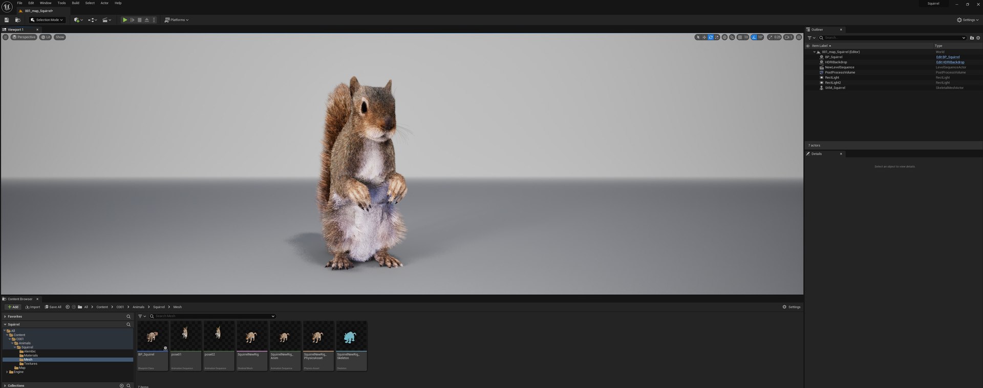 Squirrel Rig UNREAL Project Plus Maya Base Rig 3D Model - TurboSquid ...