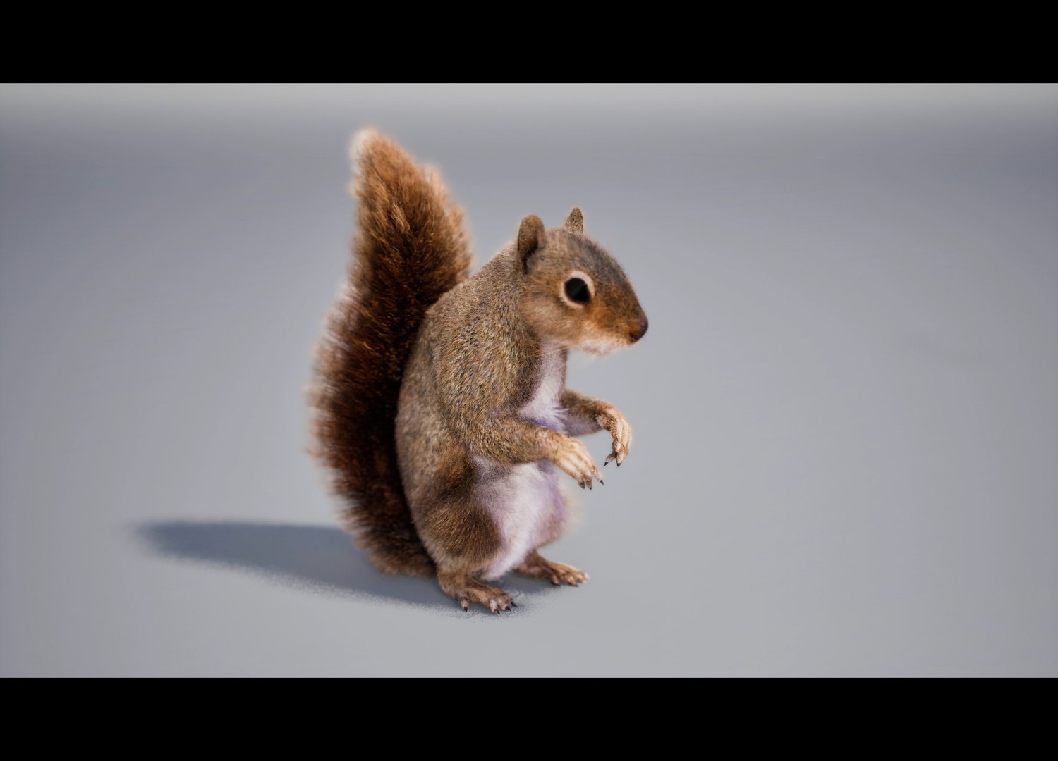 Squirrel Rig UNREAL Project Plus Maya Base Rig 3D Model - TurboSquid 2341952