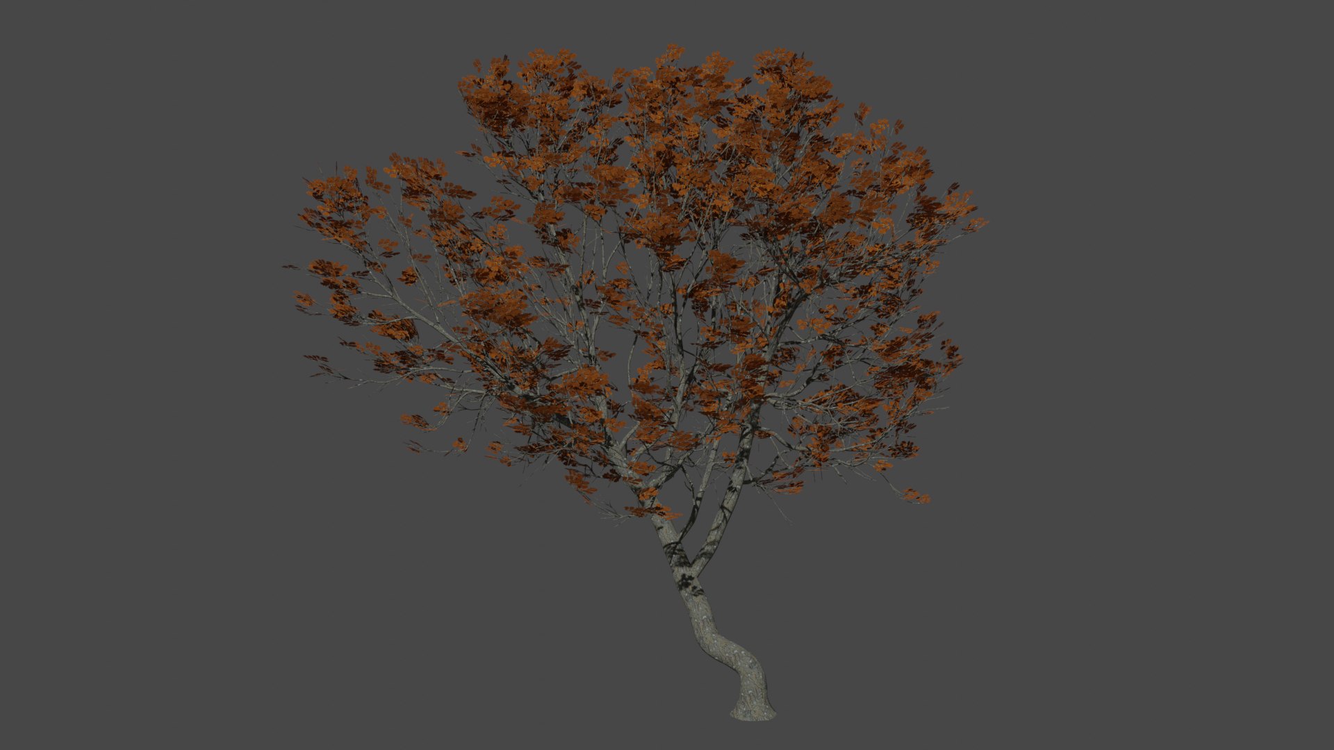 Tree Leaf 3D - TurboSquid 1614351