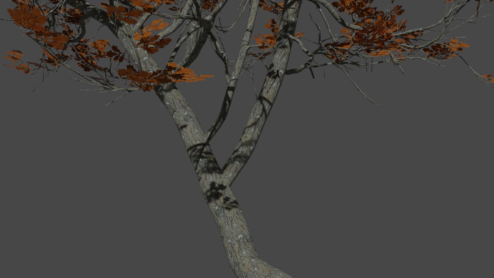 Tree Leaf 3D - TurboSquid 1614351