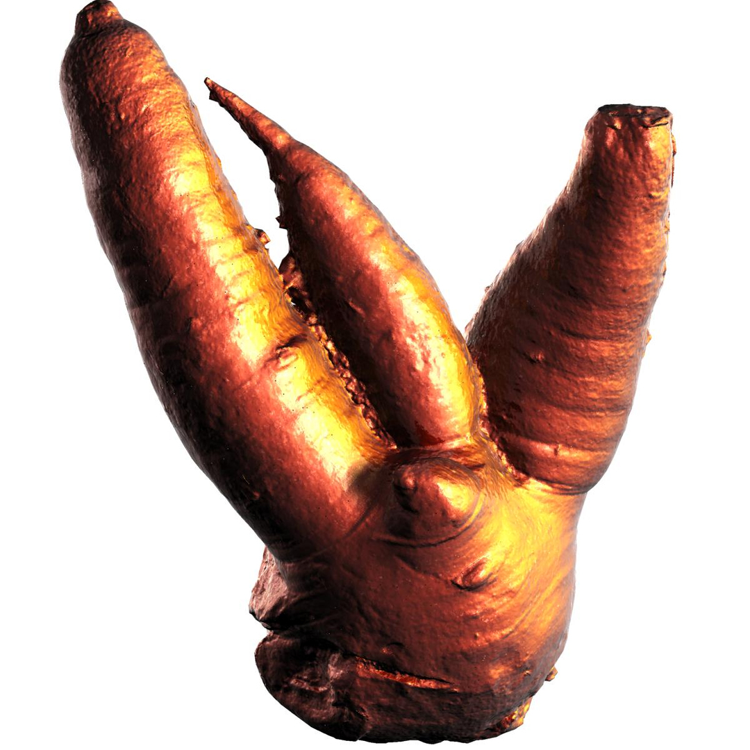 3d Triple Carrots