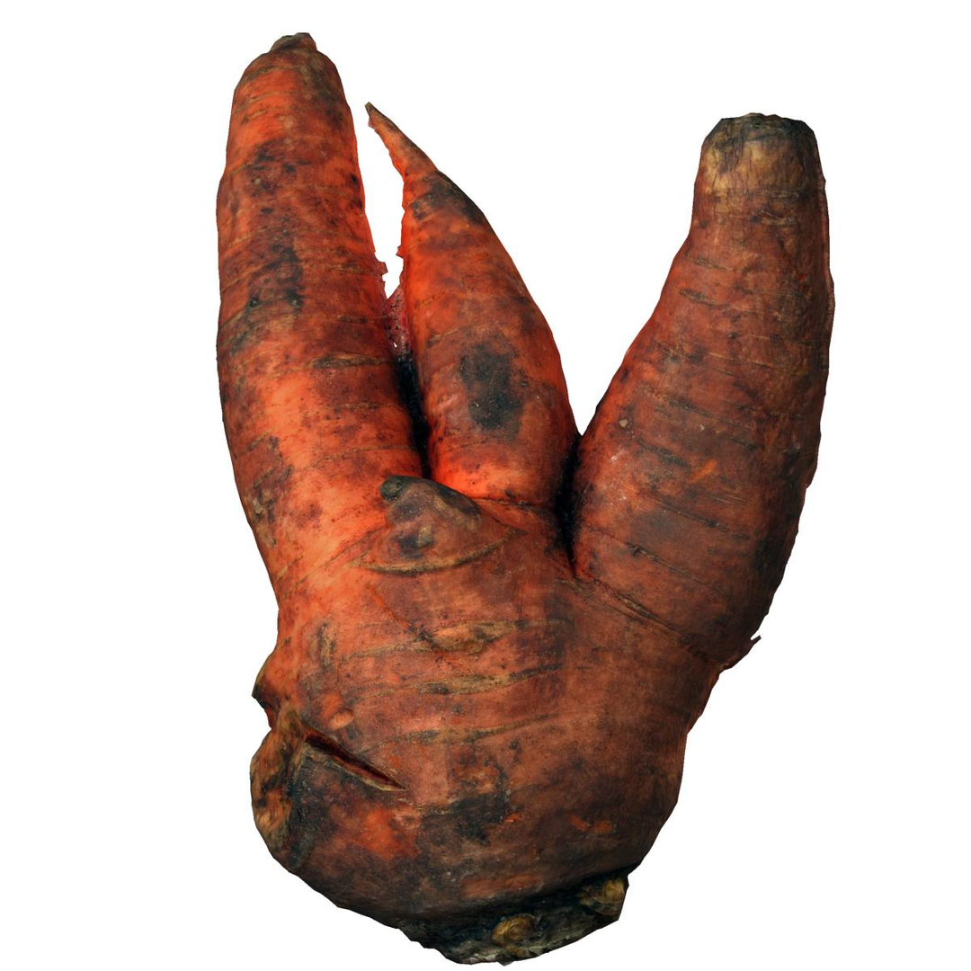 3d Triple Carrots