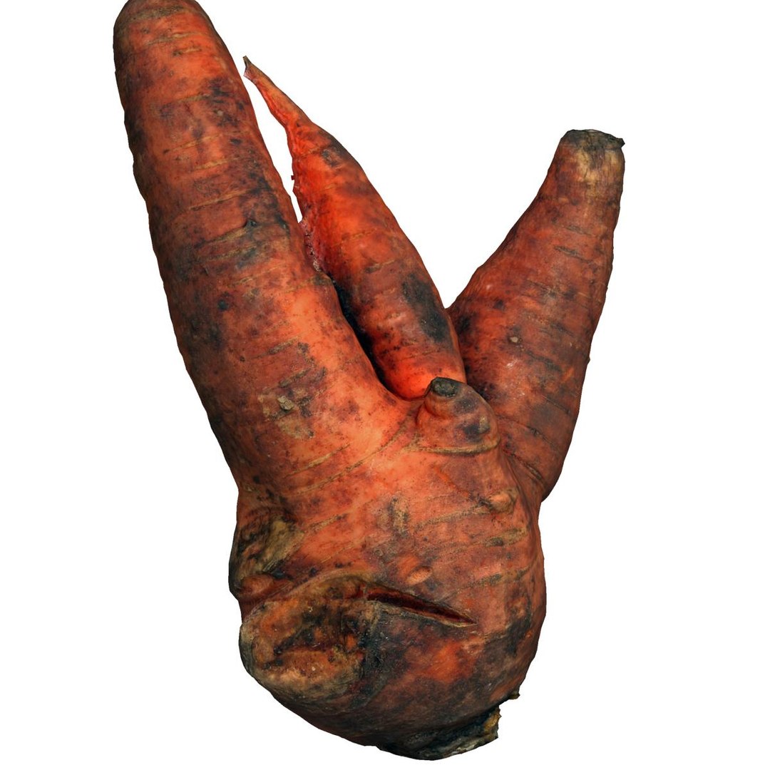 3d Triple Carrots