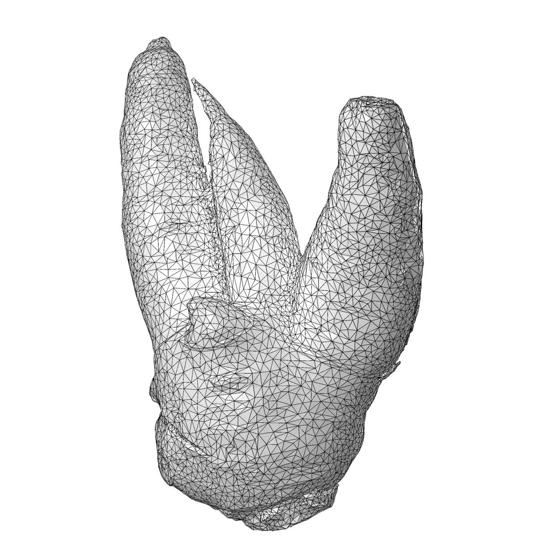 3d Triple Carrots