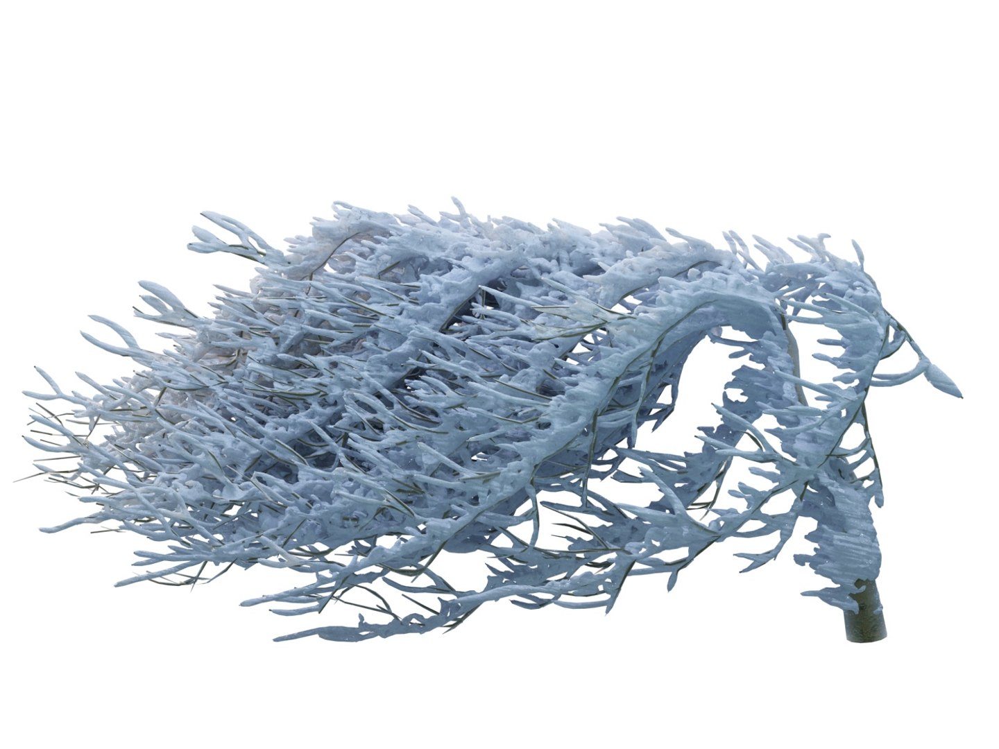 3d Frozen Tree Pack 4
