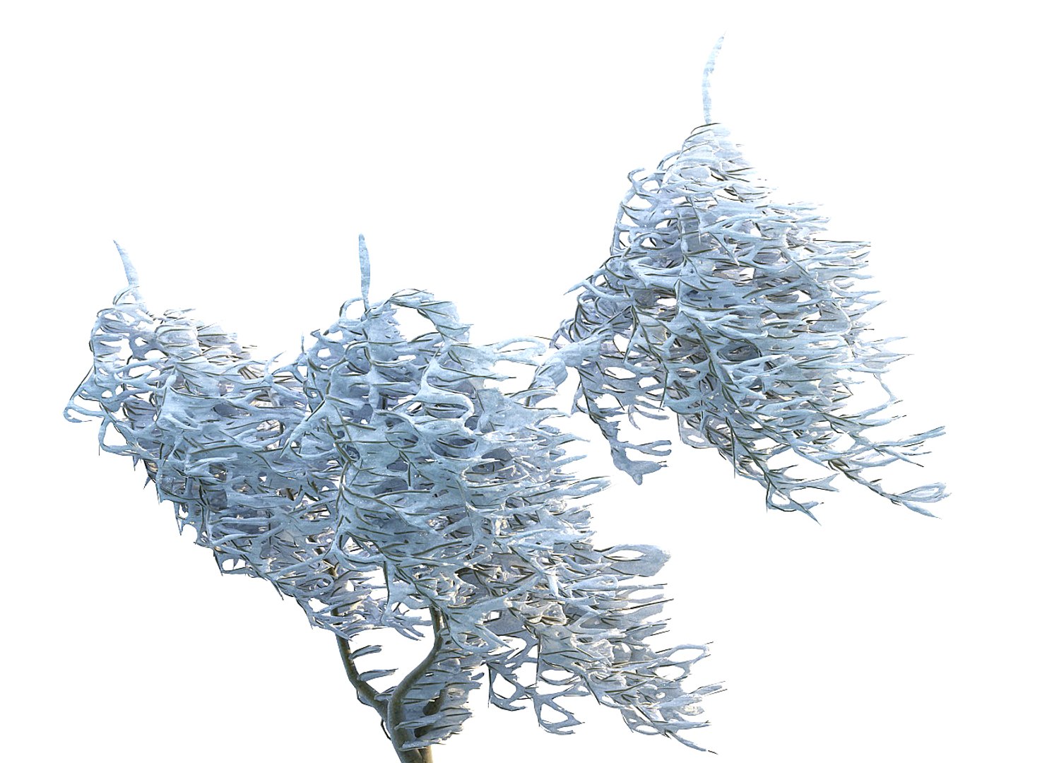 3d Frozen Tree Pack 4