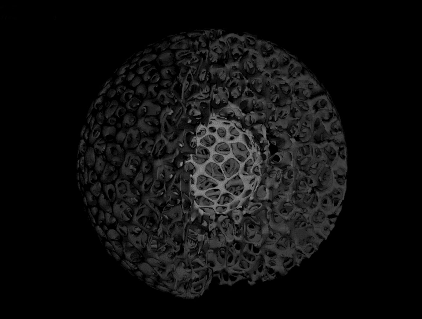 3D Bone Structure 360 - TurboSquid 1159194