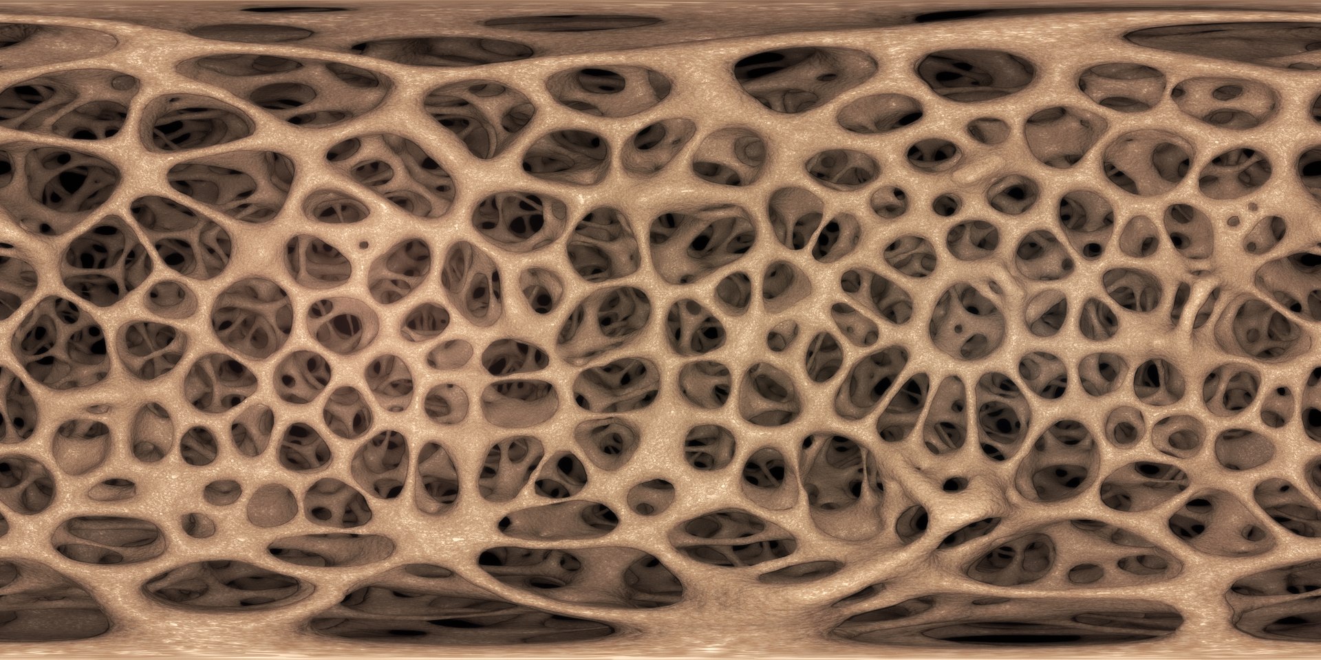 3D Bone Structure 360 - TurboSquid 1159194