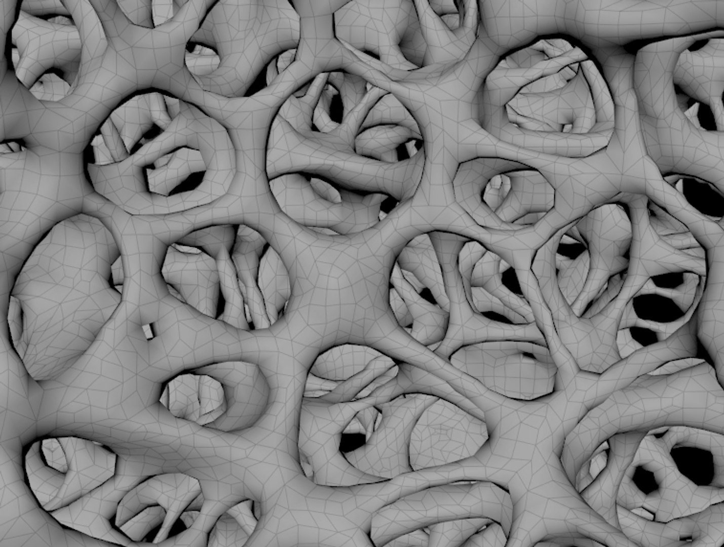 3D Bone Structure 360 - TurboSquid 1159194