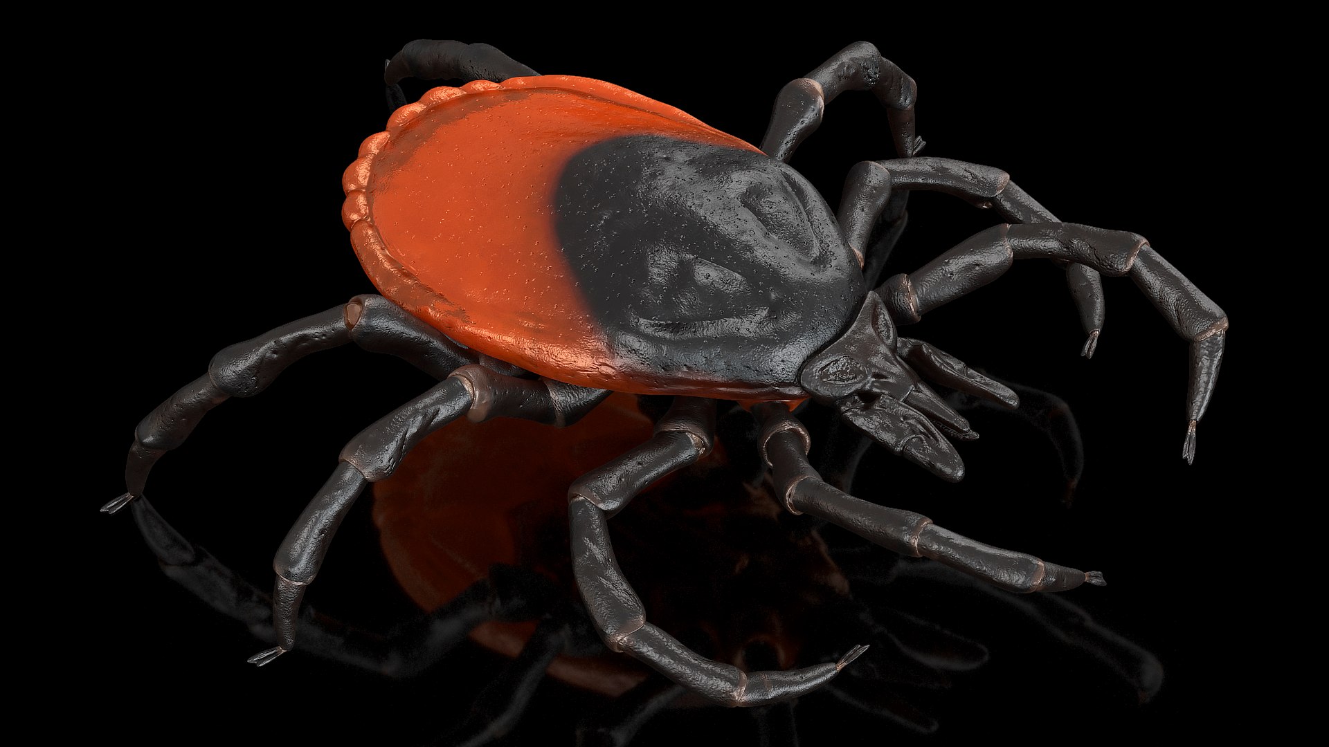 Parasites Collection Rigged 3D Model - TurboSquid 2346619