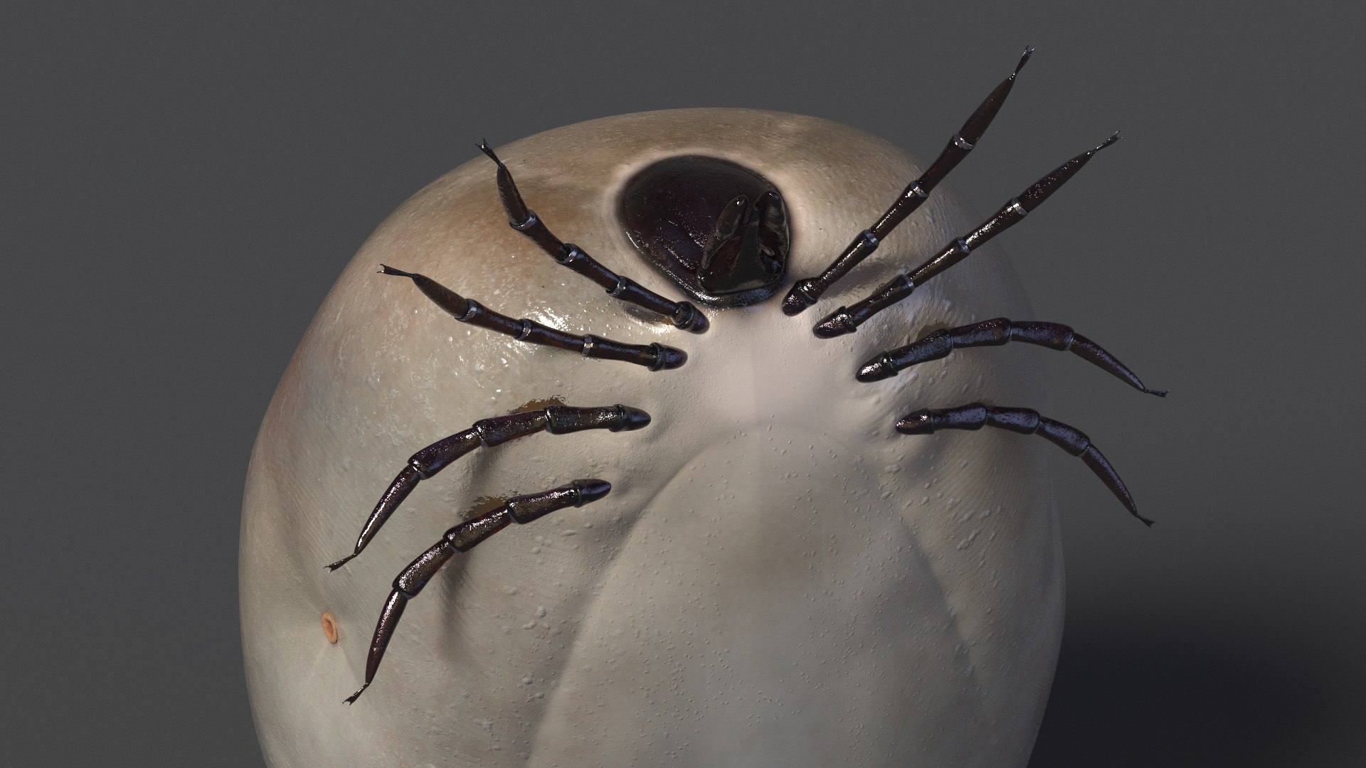 Parasites Collection Rigged 3D Model - TurboSquid 2346619