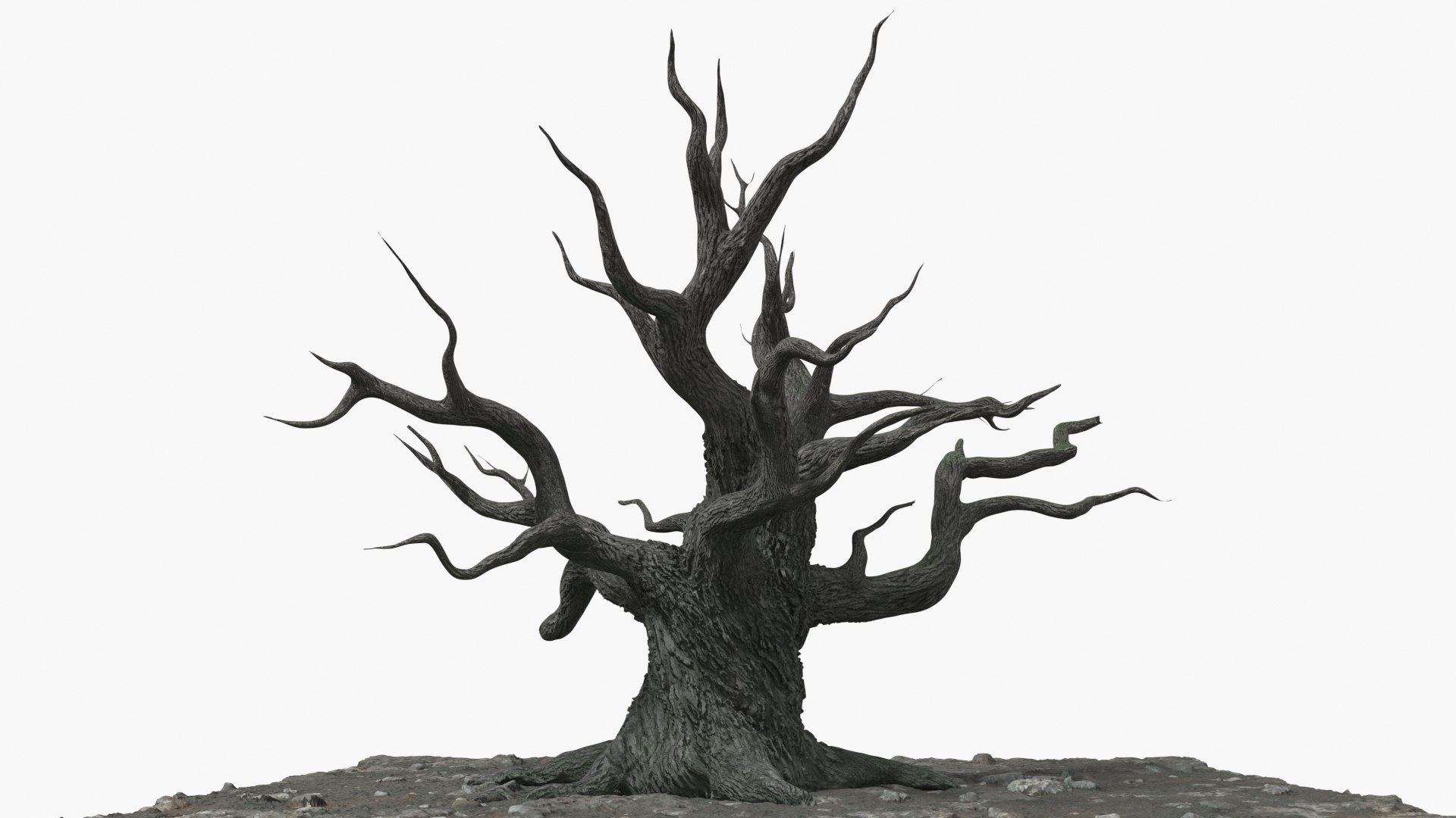 3D Dead Tree Without Leaves On Rocky Ground - TurboSquid 2364986