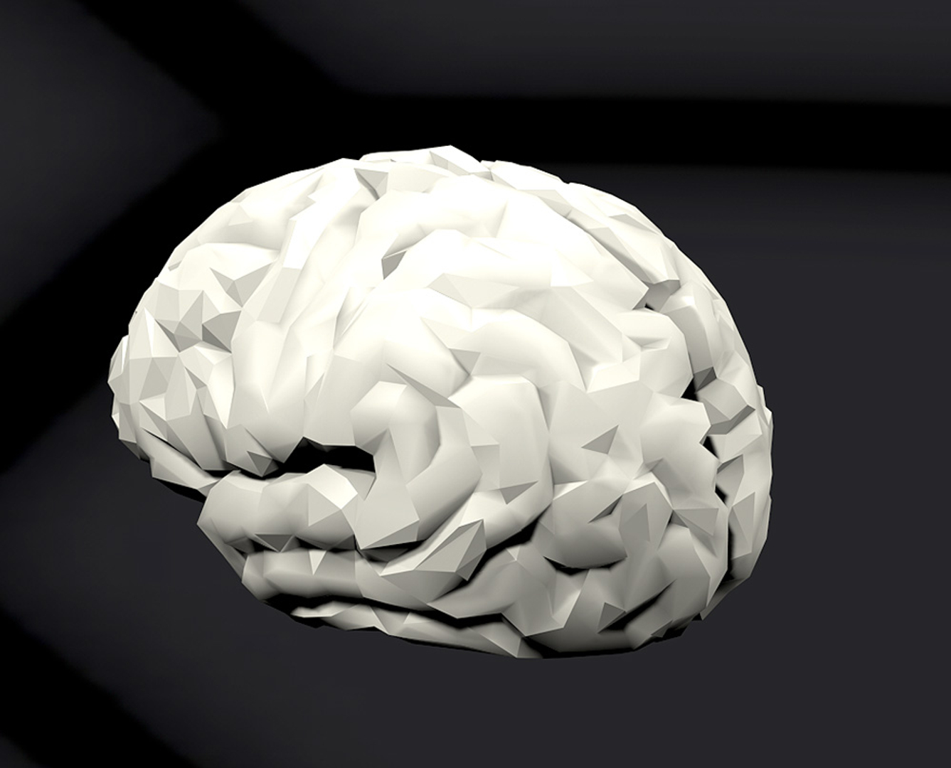 3d model of half brain
