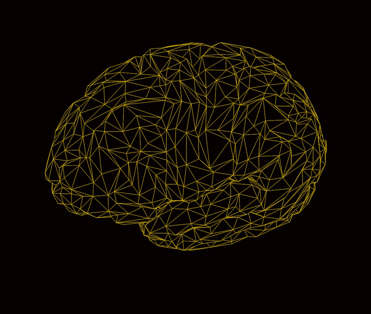 3d Model Of Half Brain