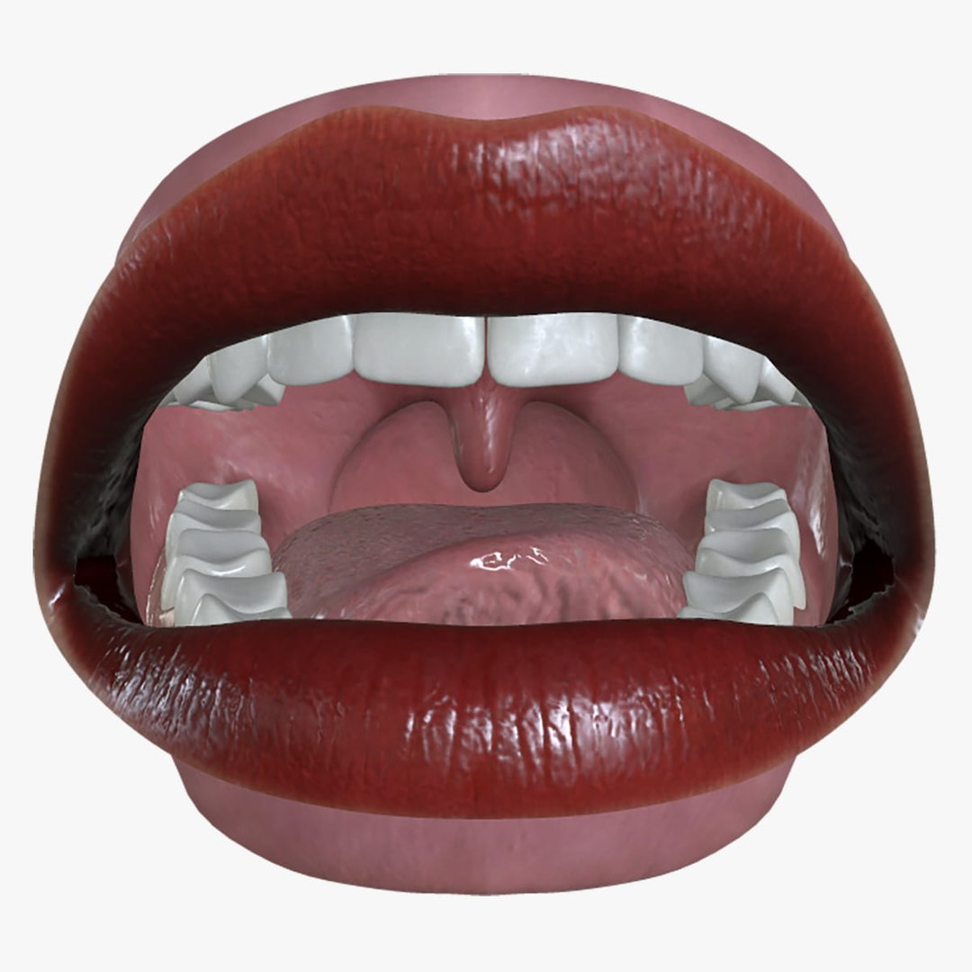 MTH-006 Rigged Woman Mouth 3D model - TurboSquid 2126193