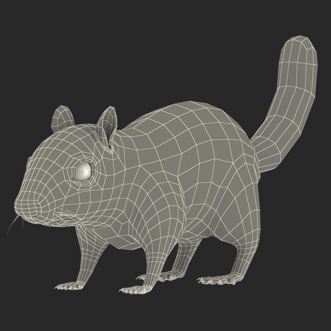 Chipmunk Modelled 3d C4d