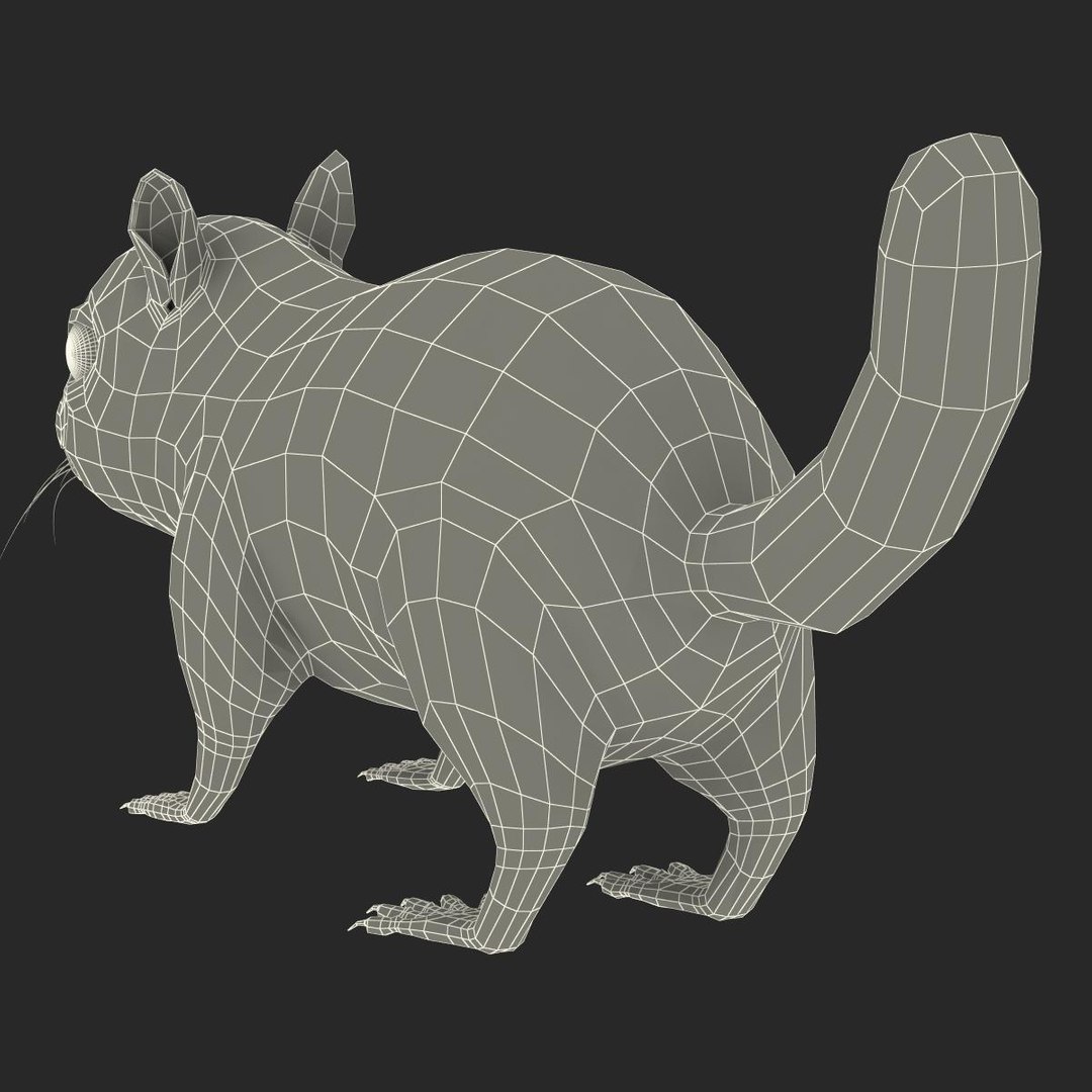 Chipmunk Modelled 3d C4d