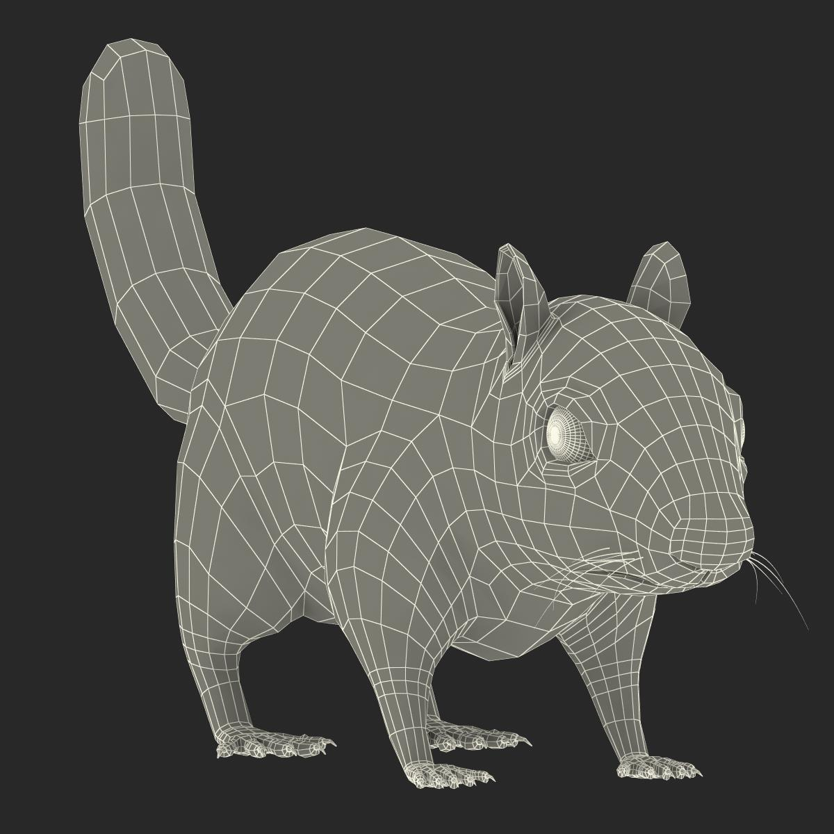 chipmunk modelled 3d c4d