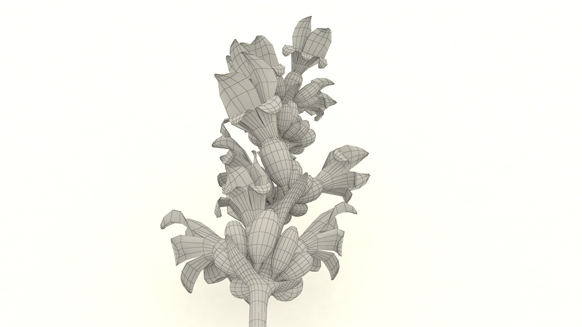 Plant Lavender Flower Spices 3D Model - TurboSquid 1695758