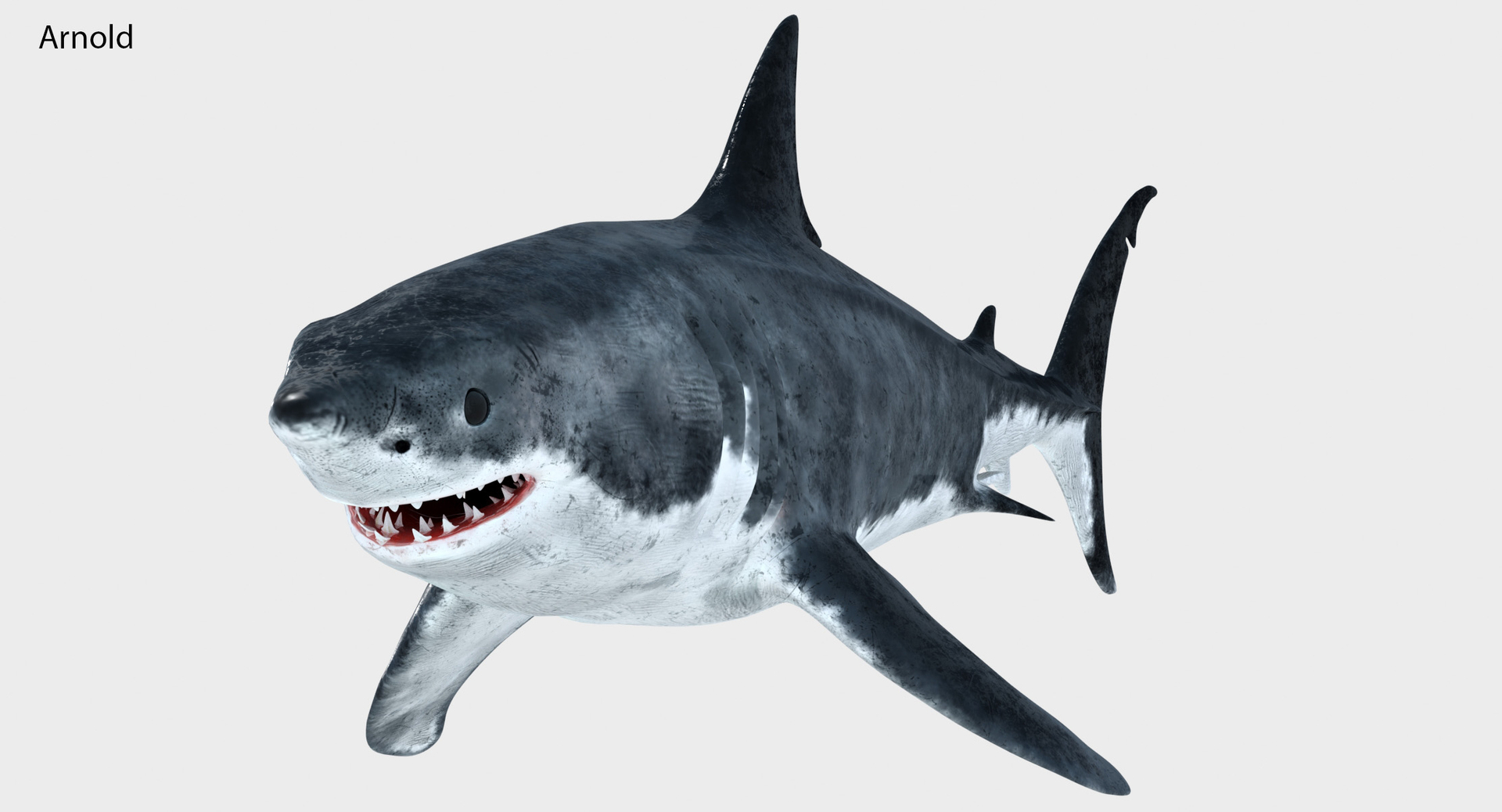 3D great white shark model - TurboSquid 1252479