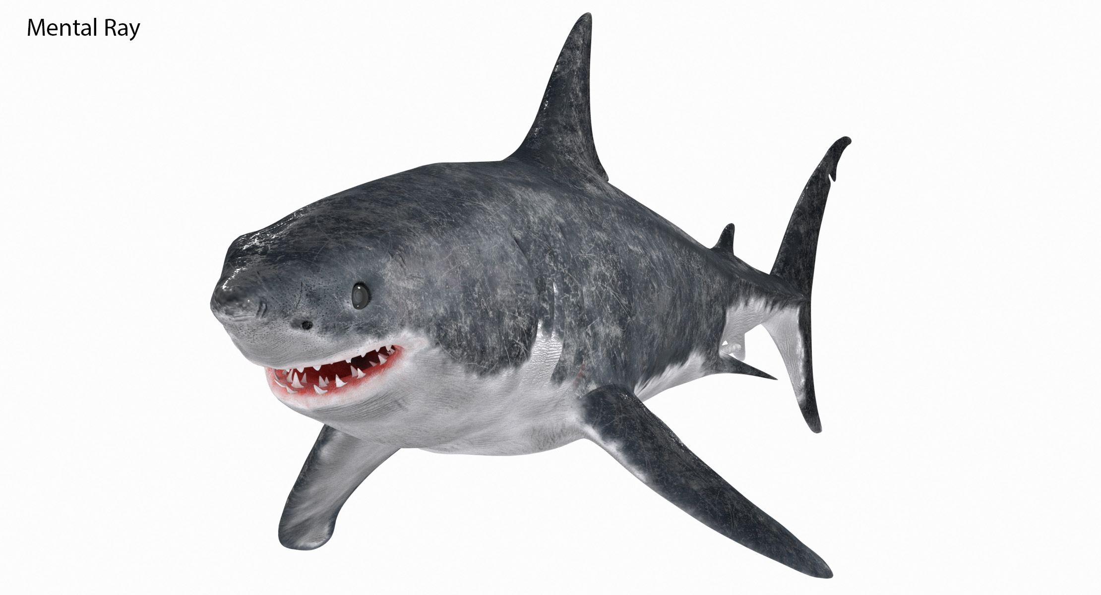3D great white shark model - TurboSquid 1252479