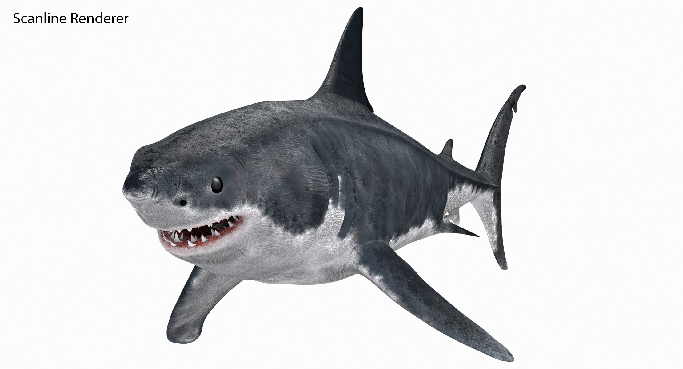 3D great white shark model - TurboSquid 1252479
