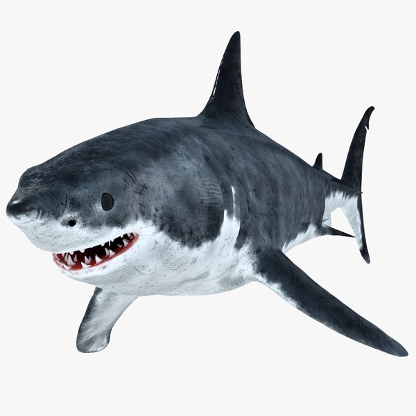 3D great white shark model - TurboSquid 1252479