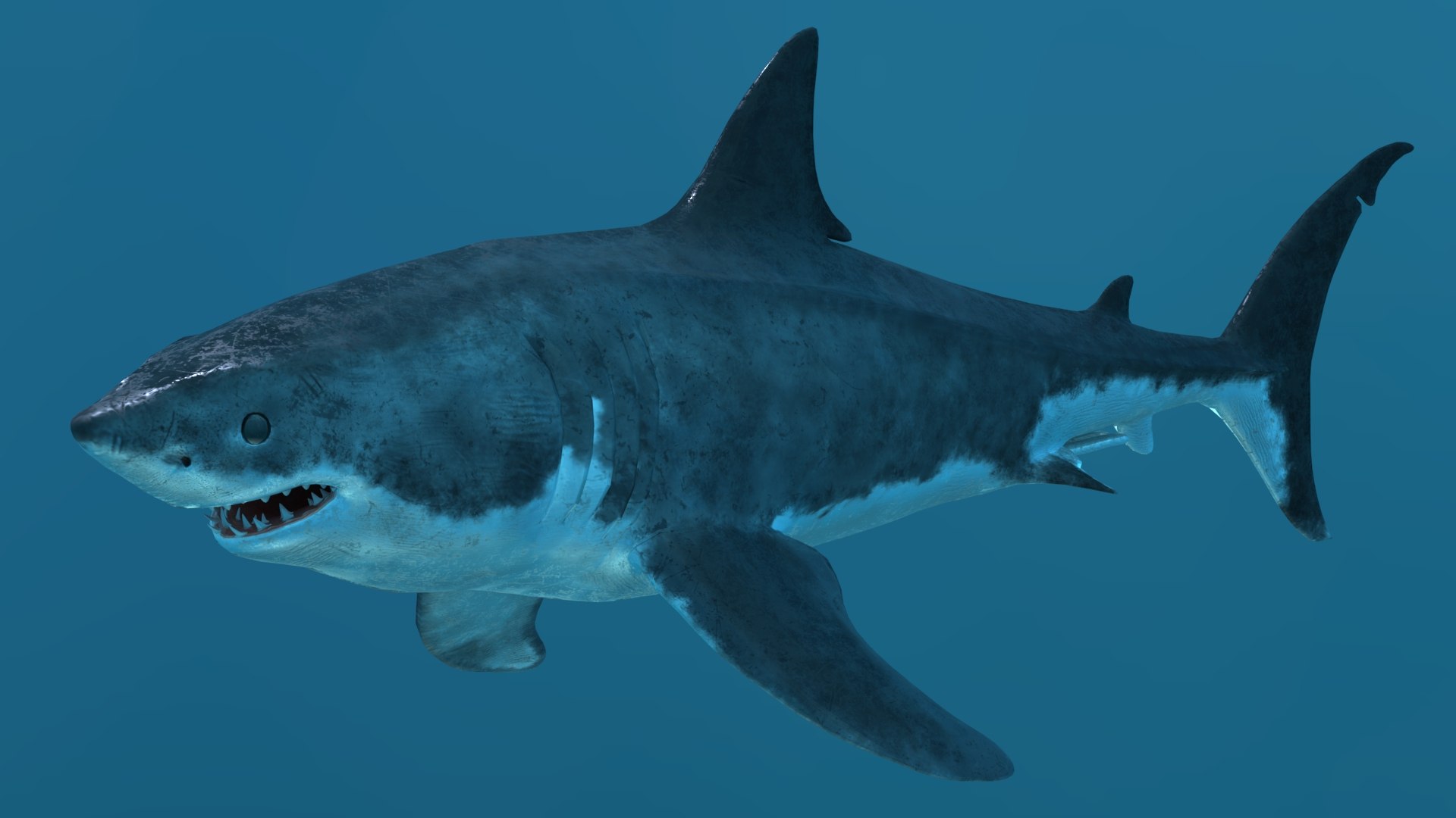 3D Great White Shark Model - TurboSquid 1252479