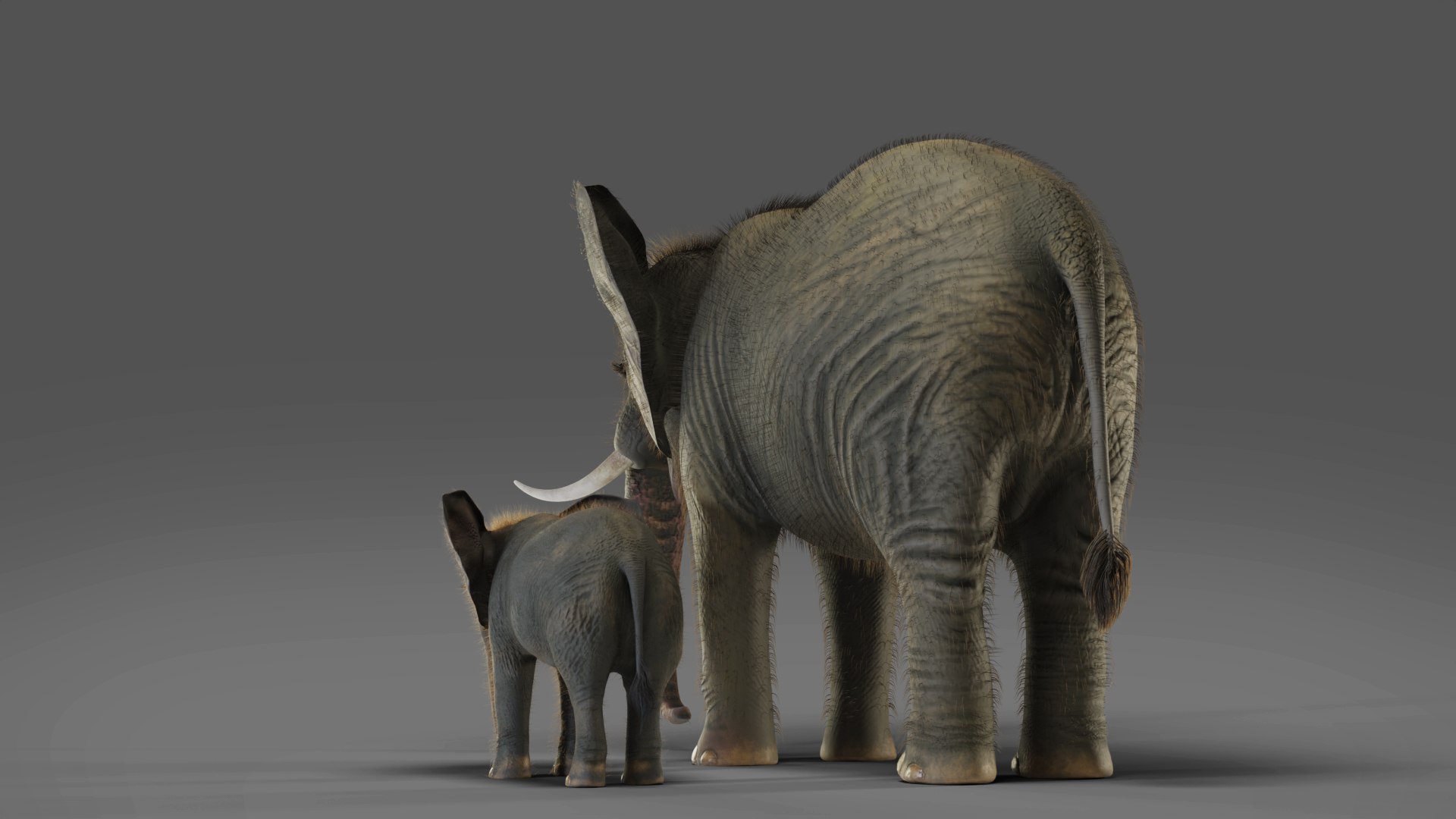 3D Model Fur Elephant And Baby Elephant Rigged In Blender - TurboSquid ...
