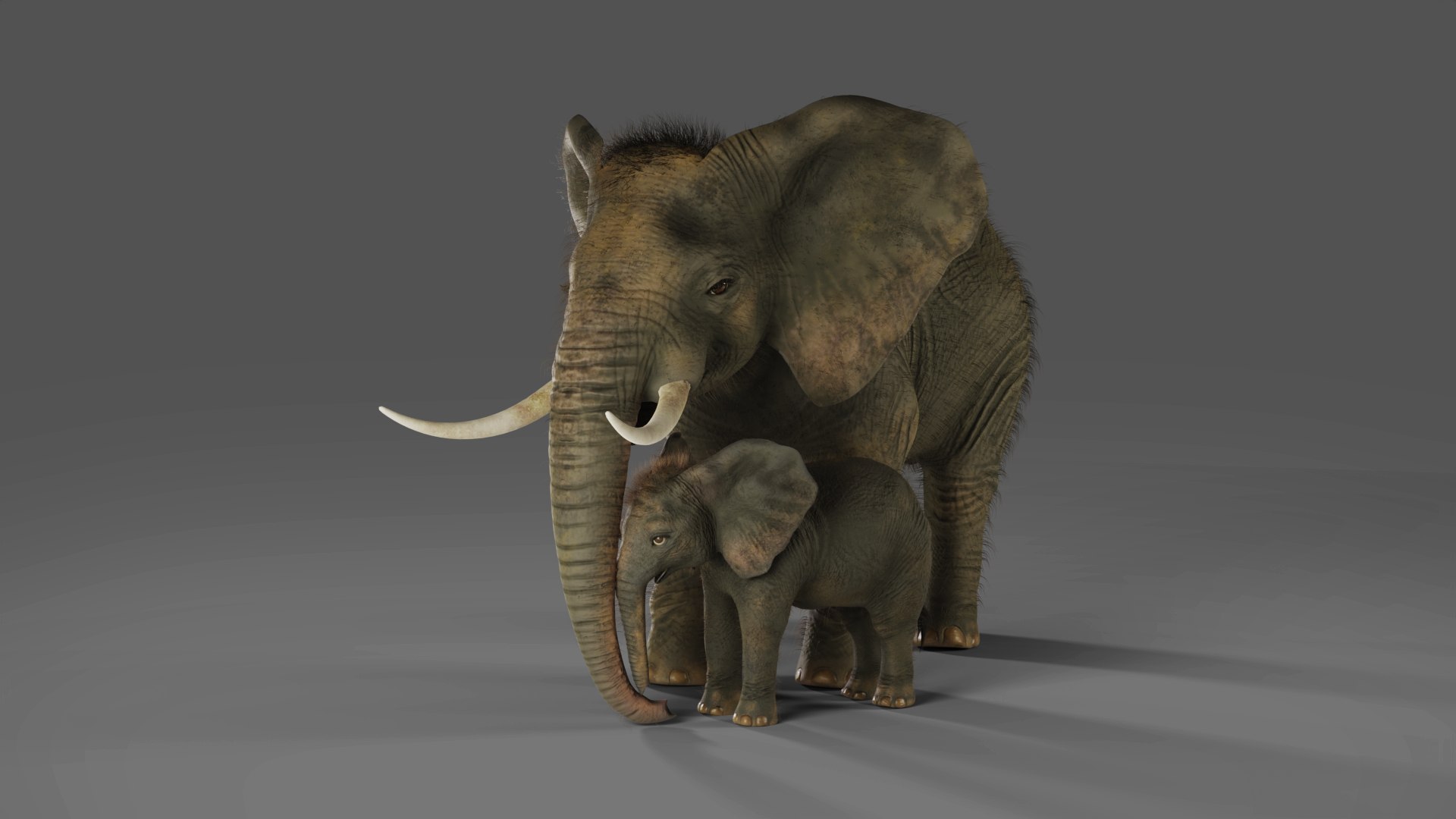3D Model Fur Elephant And Baby Elephant Rigged In Blender - TurboSquid ...