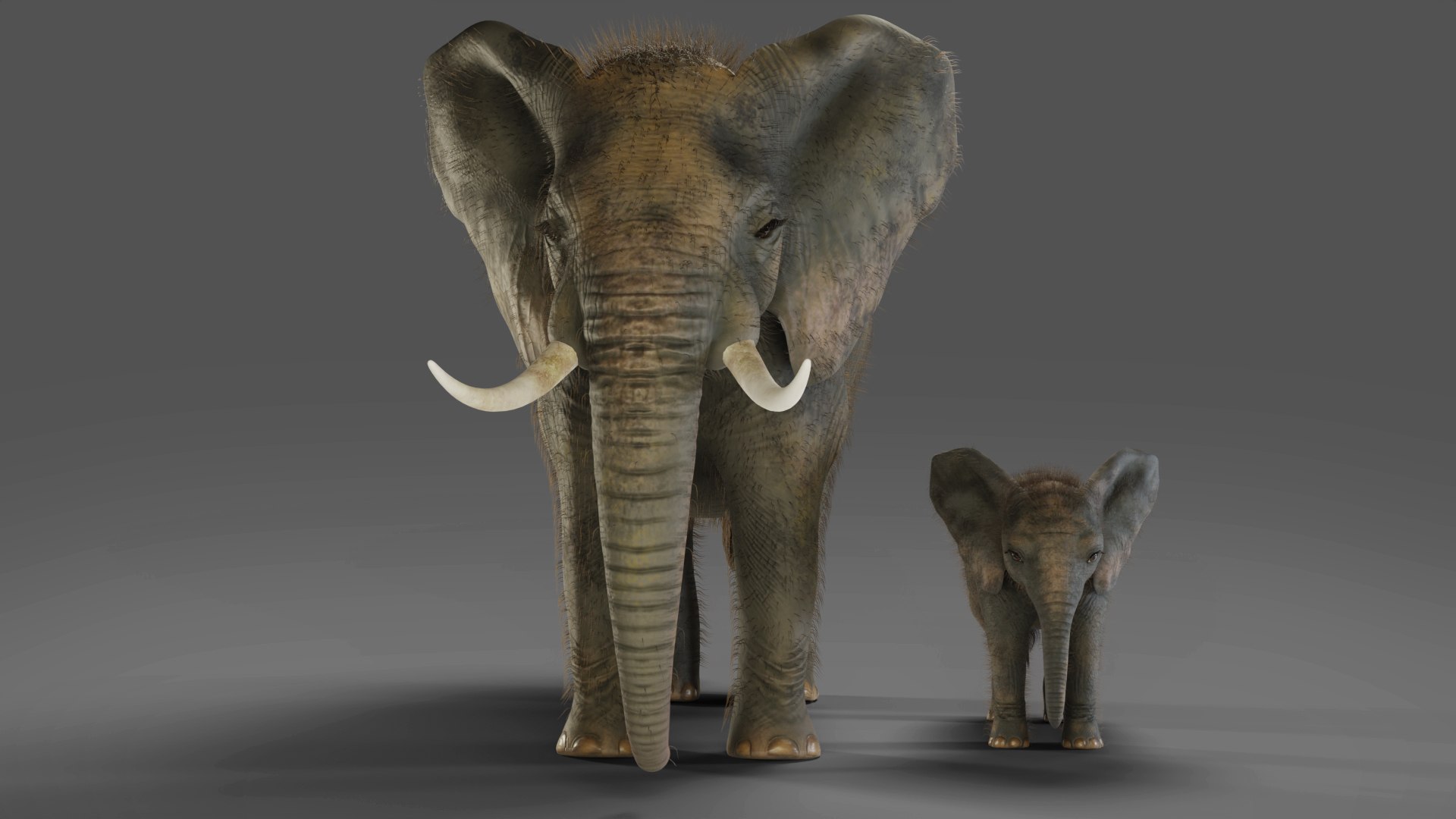 3D Model Fur Elephant And Baby Elephant Rigged In Blender - TurboSquid ...