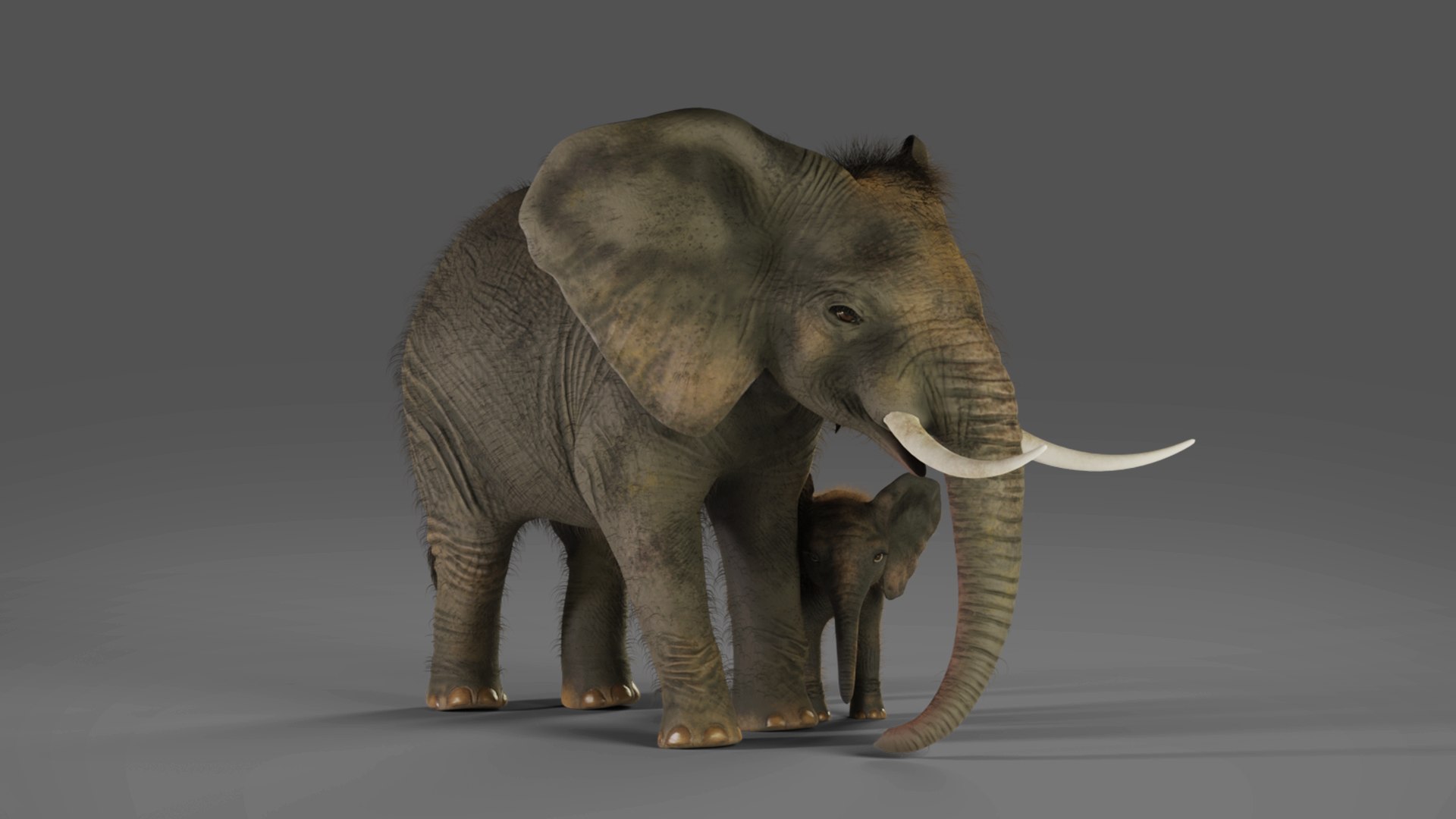 3D Model Fur Elephant And Baby Elephant Rigged In Blender - TurboSquid ...