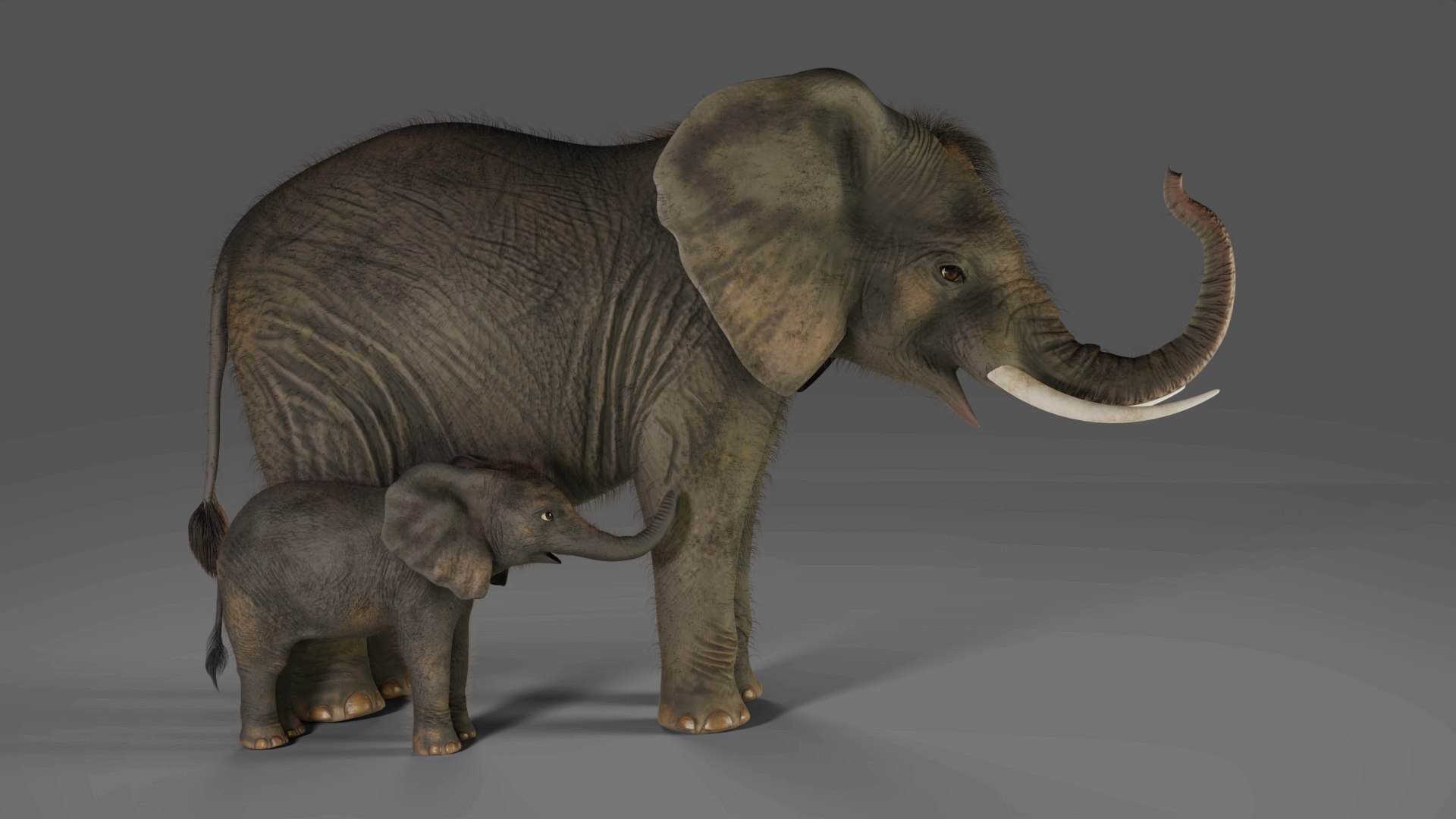 3D Model Fur Elephant And Baby Elephant Rigged In Blender - TurboSquid ...