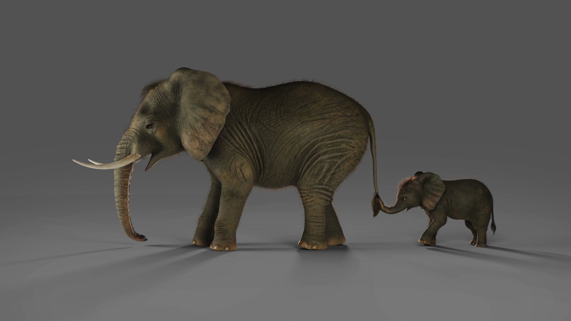 3D Model Fur Elephant And Baby Elephant Rigged In Blender - TurboSquid ...