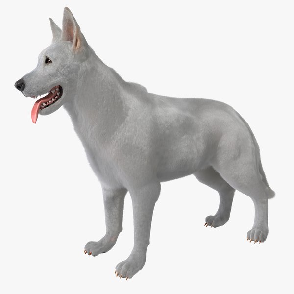 max white shepherd dog rigged