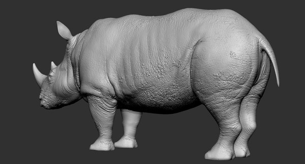 max rhinoceros rhino