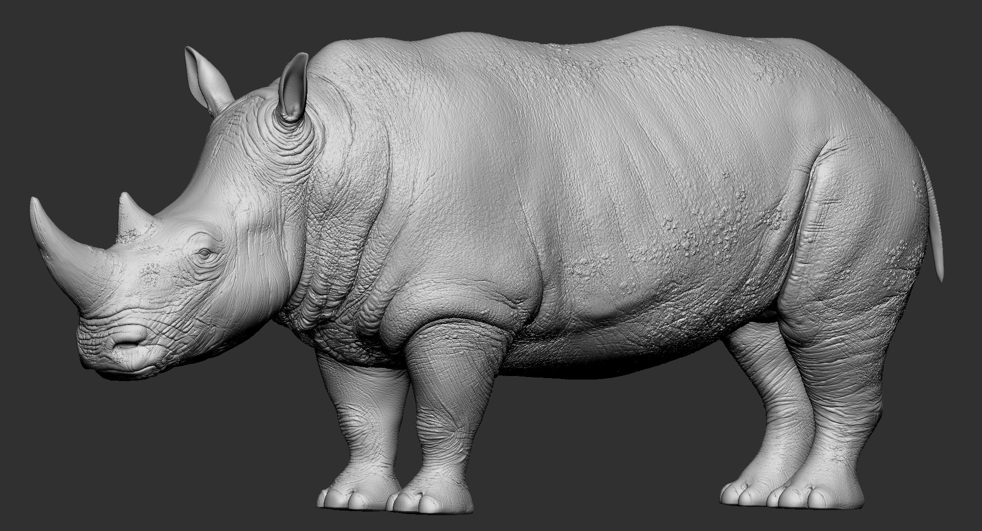 max rhinoceros rhino