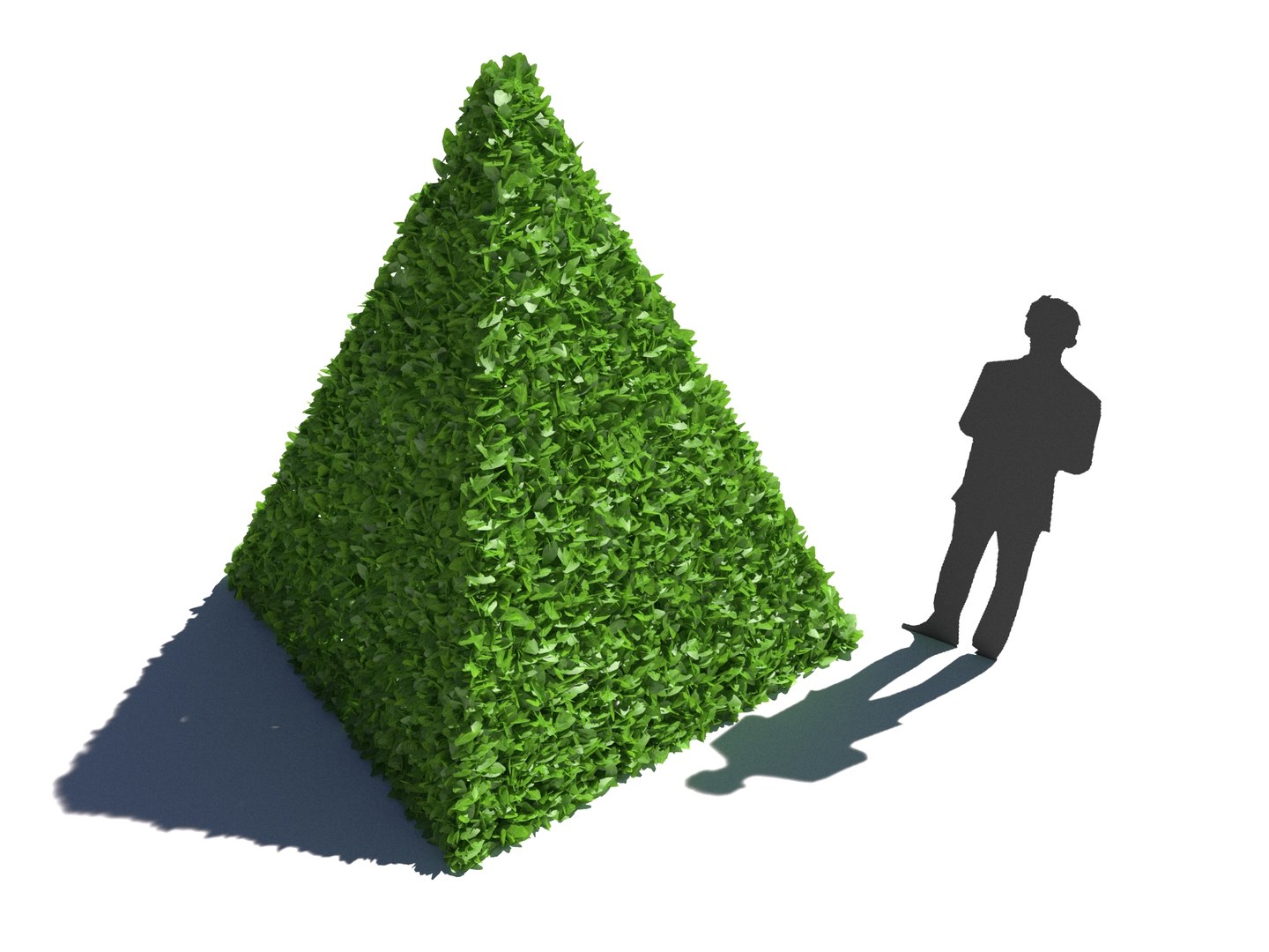 Bush hedge model - TurboSquid 1187847