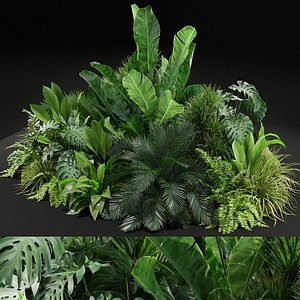 archmodels 85 trees 3d c4d