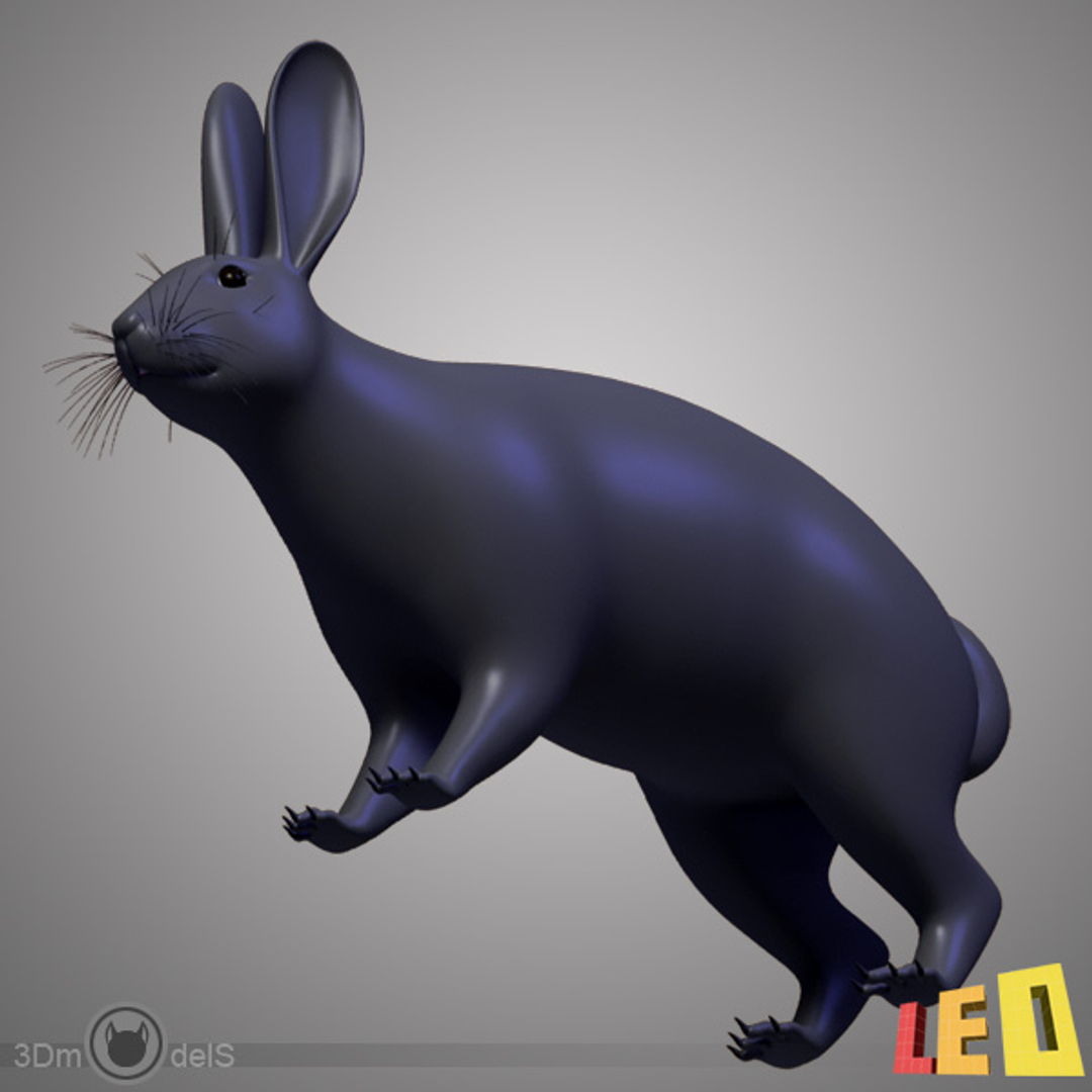 3d rabbit