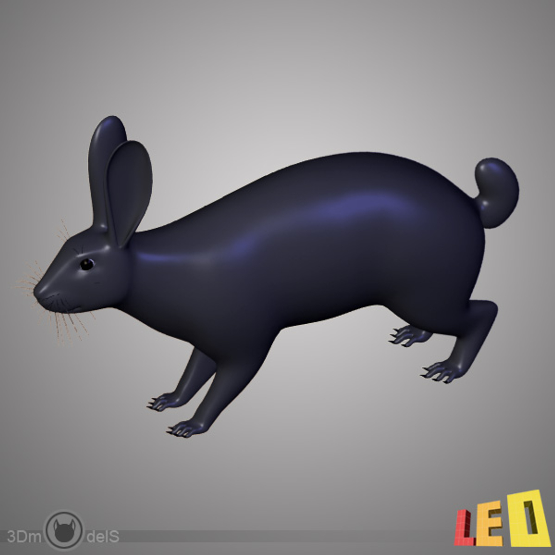 3d rabbit