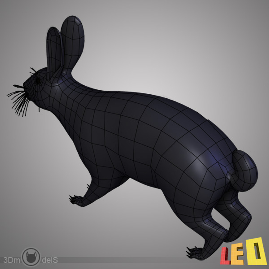 3d rabbit