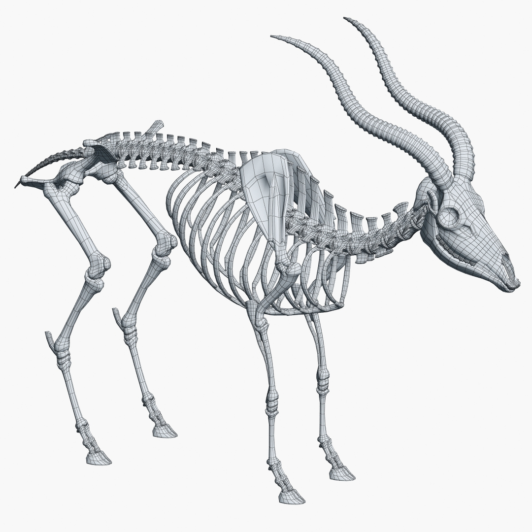 goat skeleton 2 3ds