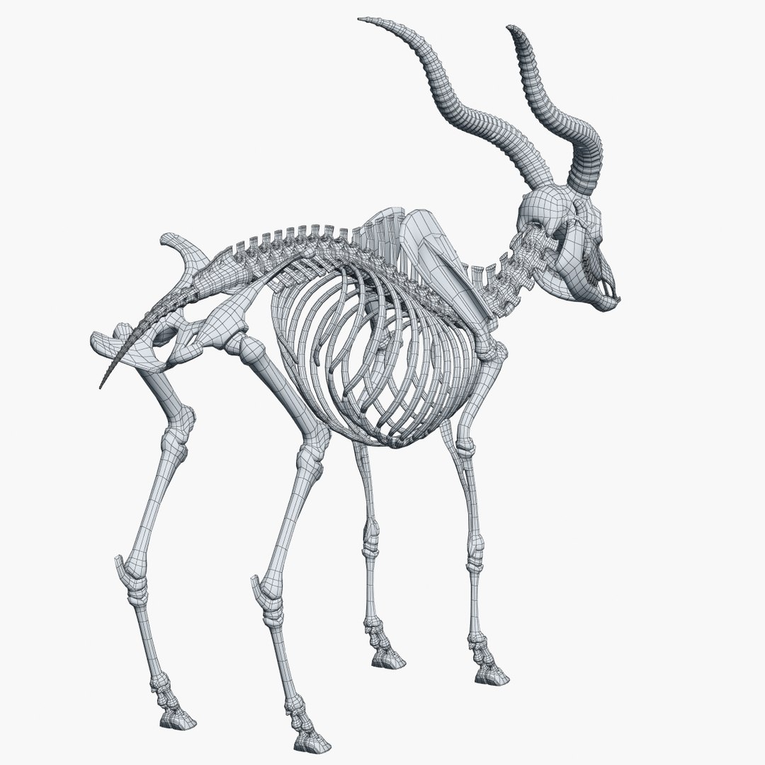 Goat Skeleton 2 3ds
