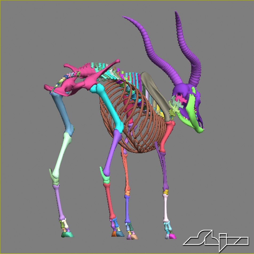 Goat Skeleton 2 3ds