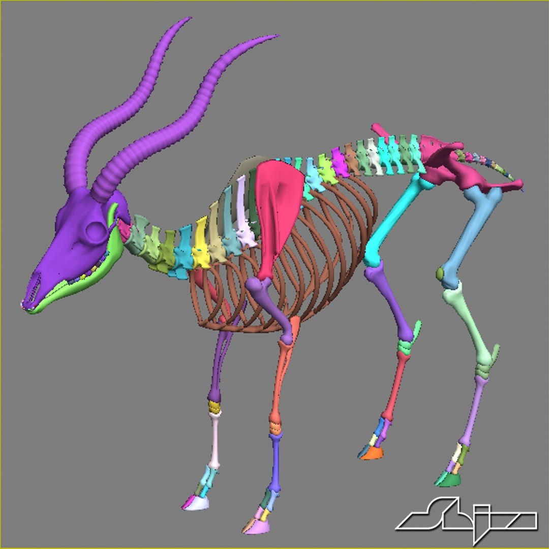 Goat Skeleton 2 3ds