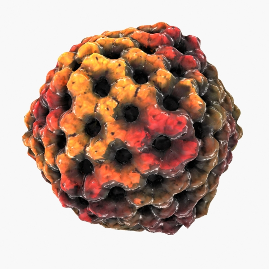 Rice Dwarf Virus 3d Model